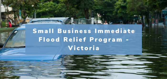 Immediate Flood Relief Grant for Small Businesses - Carisma Solutions ...